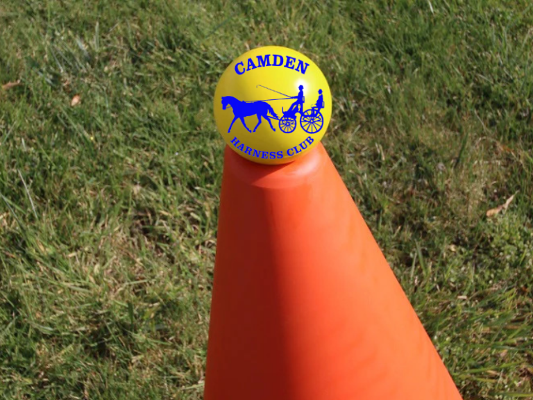 Upcoming Events - Carriage Driving NSW