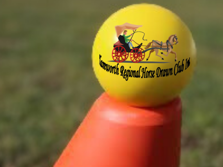 Cones Spectacular at Uralla - Tamworth Club - Carriage Driving NSW